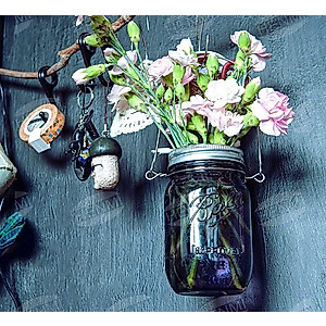 HENMI Mason Jar Wire Hangers 12 Pack Stainless Steel Wire Handles for Regular Mouth Mason Jar Ball Pint Jar Canning Jars,Canning Jars Hanger, Hanging Jars, Jar Hanging Hook, Sliver