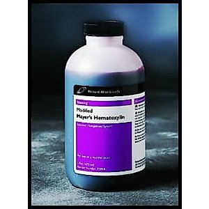 Modified Mayer's Hematoxylin Stain, 473ml [ 1 Pint(s)]