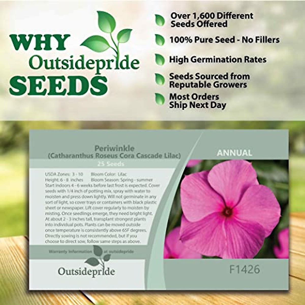 Outsidepride Vinca Periwinkle Cascade Lilac Garden Flower, Ground Cover, & Container Plants - 50 Seeds