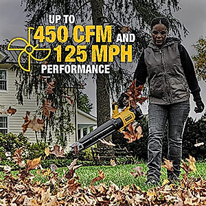 DEWALT 20V MAX* XR Leaf Blower, 125-MPH, 450-CFM (DCBL722P1)