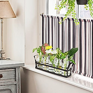 Propagation Stations Indoor Decor Plants Propagation Station with Stainless Steel Stand, Propogation planters glass with 5 Air Plant Terrarium for House Plants Hydroponic Home Garden Office Decoration