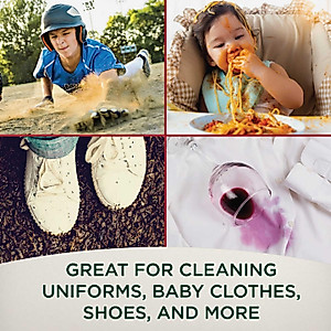 Dial Corporation Fels-Naptha Laundry Bar Soap, 5 Ounce (Pack of 6)