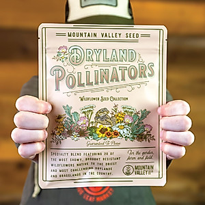 Wildflower Seeds Bulk, 2 Oz. 80,000+ Seeds, Drought-Tolerant Wildflower Mix, 20 Varieties of Drought-Tolerant Wildflower Seeds, Drought-Resistant Wildflower Seeds, Dryland Pollinators Flowers Seeds