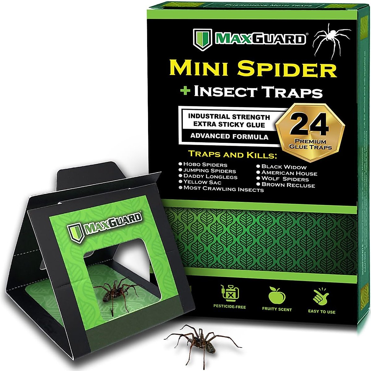 MaxGuard Mini Spider + Insect Traps (24 pcs Box Trap) | Non-Toxic Extra Sticky Glue Traps | Trap and Kill Hobo Spiders, Black Widow Spiders, Brown Recluse Spiders and Crawling Bugs |