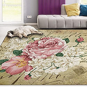 Oueoty Vintage Shabby Rose Flower Floral Area Rug Rugs for Living Room Bedroom 1.5x2.5ft/18x30in/45x75cm