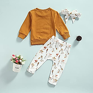 Baby Girl Clothes Set Fall 3 6 9 12 18 24 Months Long Sleeve Sweatshirt & Floral Print Pants & Headband Outfits (Light Brown , 6-12 Months )
