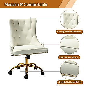 HULALA HOME Velvet Office Chair with Nailhead Trim & Gold Base, Modern Cute Tufted Desk Chair Swivel Adjustable, Upholstered Armless Computer Task Vanity Chair for Women, Ivory