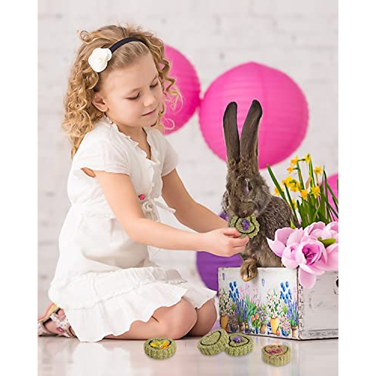 Sofier 12Pcs Timothy Hay Treats Rabbit Toys Bunny Toys Guinea Pig Toys Natural Chews for Teeth Handmade Rabbit Chews and Treats Chinchilla Rat Hamster Gerbil