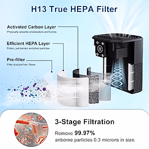 Air Purifiers for Bedroom Home, Air Purifier with True H13 HEPA Filter for Dander Pollen Odor, Small Desktop Air Purifier with 9 Timers for Office,Living Room, Bedroom,Kitchen, Black,1pack