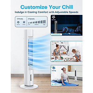 BALKO TS03Y Evaporative Air Cooler, White