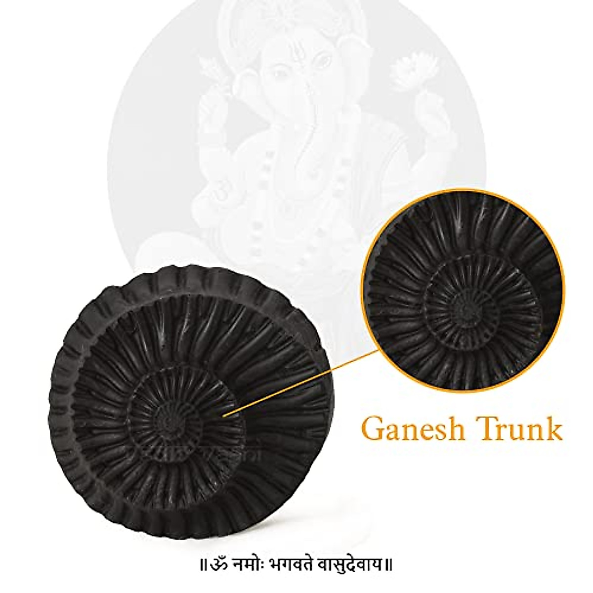 Vedic Vaani Siddh Vishnu Vinayak Divine Sudarshan Shaligram Stone Shila (Pack of 4)