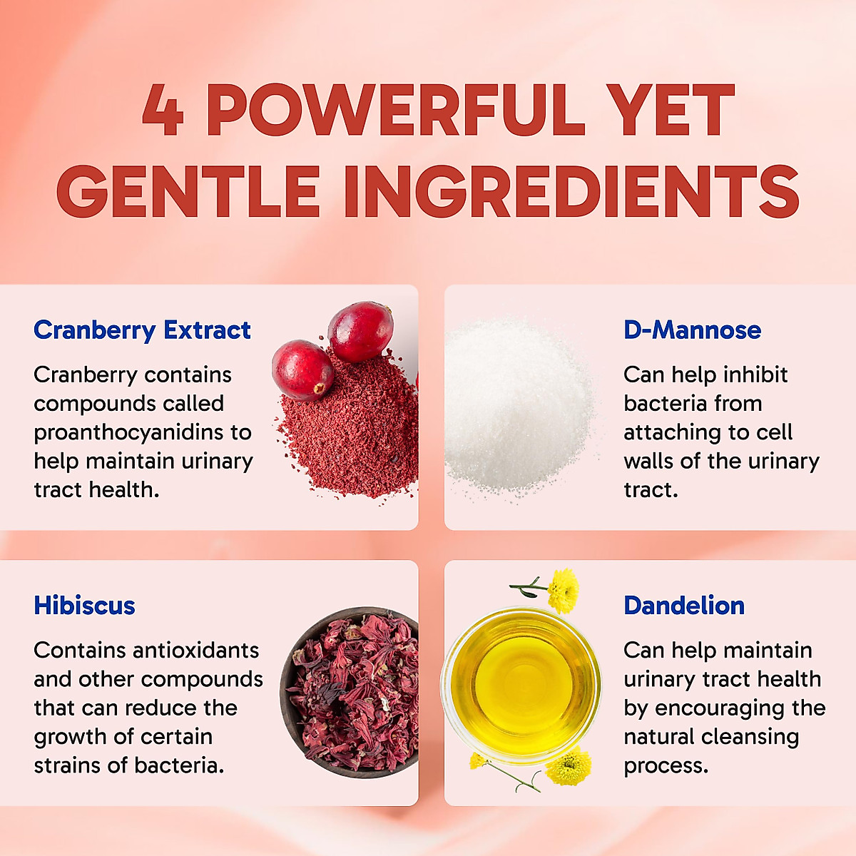 Clinical Effects UT Support - Natural Cleanse and Urinary Tract Health Support - D-Mannose, Dandelion, Hibiscus and Cranberry Pills for Women - 60 D Mannose Capsules - Made in The USA