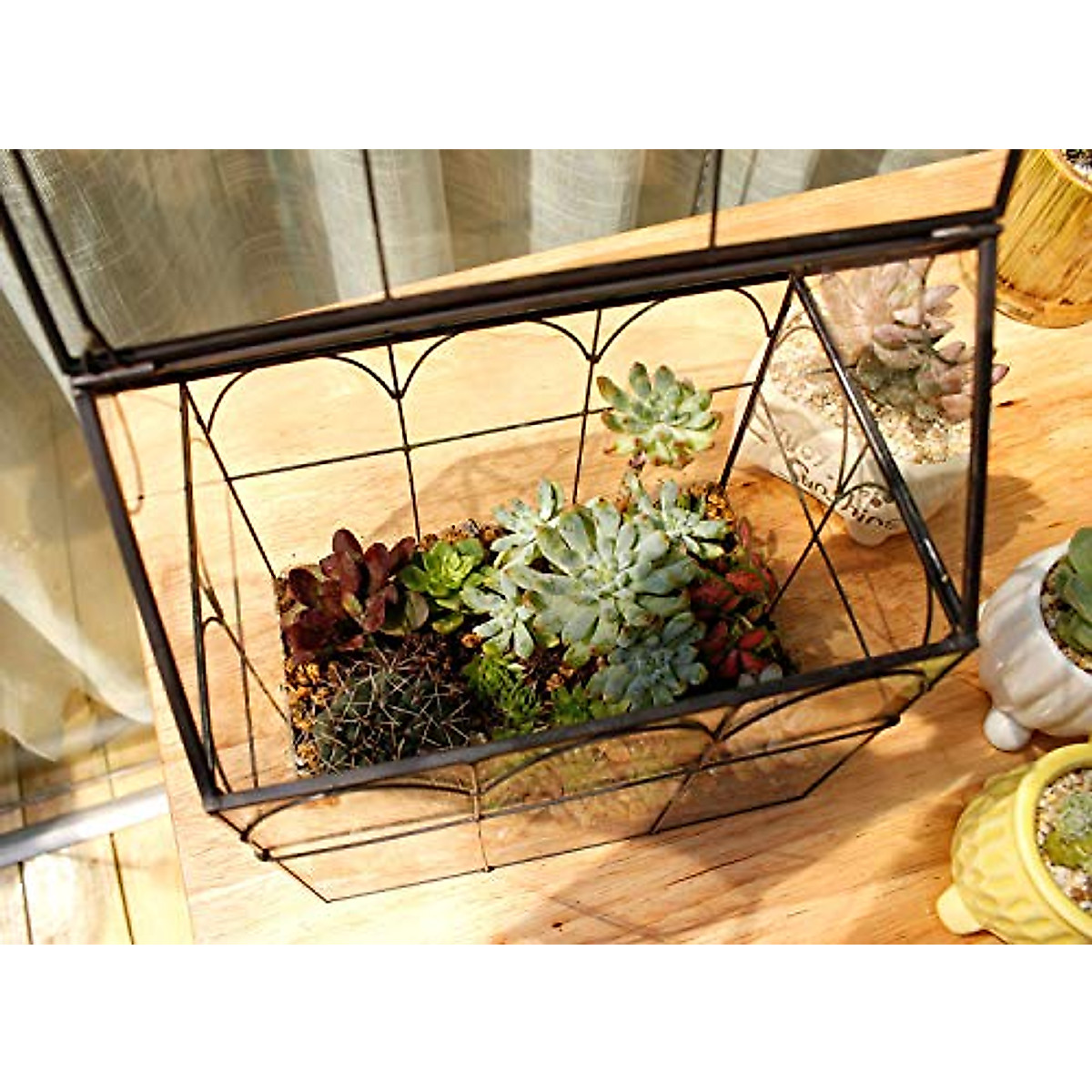 ELEGANTLIFE Glass Geometric Plant Terrarium,Succulent & Air Planter for Home Garden Office Decoration (Black House)