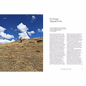 The Plant Medicine Protocol: Unlocking the Power of Plants for Optimal Health and Longevity