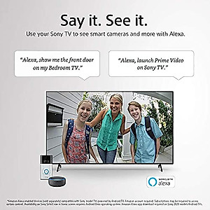 Sony XBR-48A9S 48-inch MASTER Series BRAVIA OLED 4K Smart HDR TV - 2020 Model (Renewed)