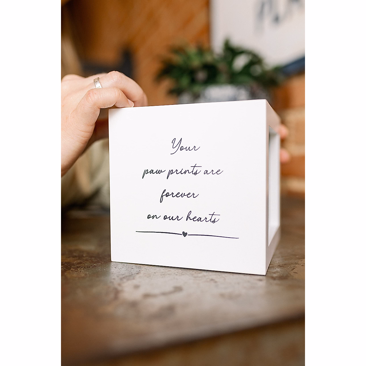 Pet Urns for Dogs Ashes | Dog Urns for Ashes Medium Personalized w/ 4 Photos | White Dog Urn for Pet Ashes Dog up to 40 lbs | Cat urn Memorial Gift for Loss of Pet | Pet Urns for Cats w/Quote