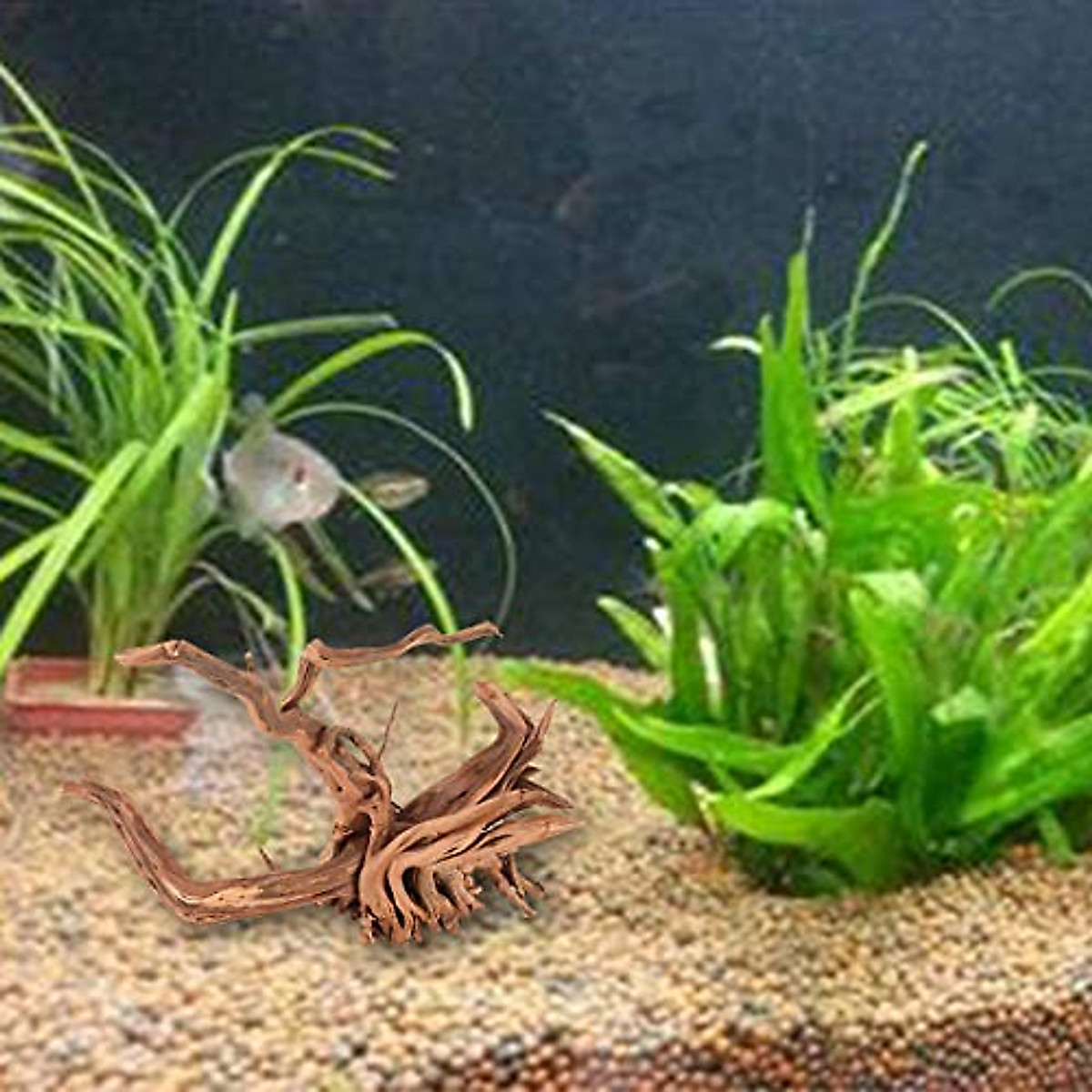 Tfwadmx Natural Driftwood for Aquarium, 4 Pcs Wood Aquarium Decorations Fish Tank Log Reptile Tree Branches