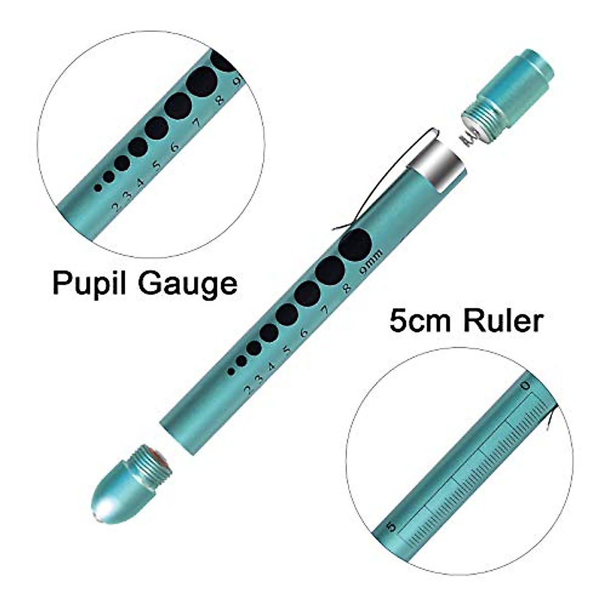 ALMOCN 2 Pack Pen Light,Nurse Medical Reusable LED Penlight White Light with Pupil Gauge and Ruler,Teal and Purple