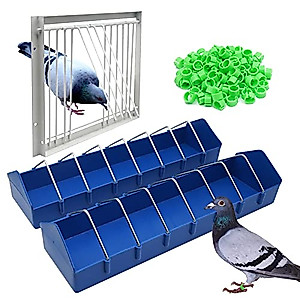 MINYULUA Pigeon Cage Door with 2pc Large Pigeon Feeder and Bird Leg Bands, Pigeon Loft Door for Parrots Bird Poultry Racing Pigeon Supplies, Food Dish Dispenser Tool
