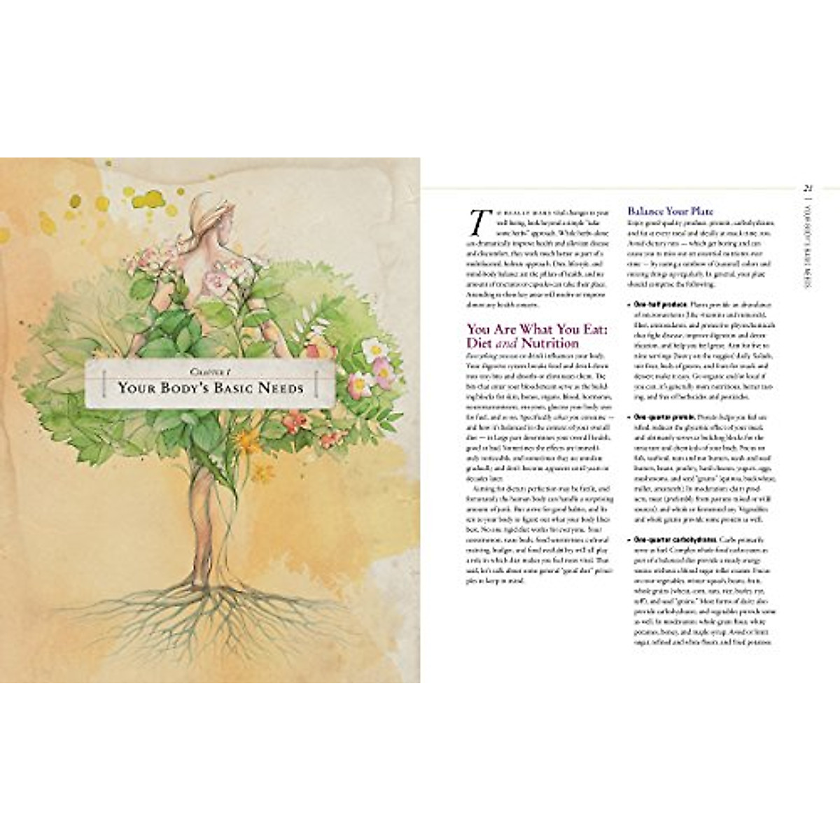 Body into Balance: An Herbal Guide to Holistic Self-Care