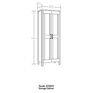 Sauder Engineered Wood 2-Door Storage Cabinet in Raven Oak Finish
