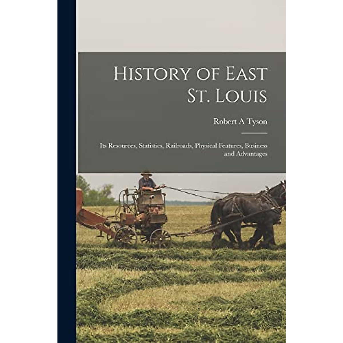 History of East St. Louis: Its Resources, Statistics, Railroads, Physical Features, Business and Advantages