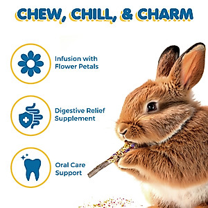 SunGrow Apple Sticks, Wood Chew Sticks for Rabbits, Chinchillas, Bunny, Hamster, Squirrel, Guinea Pigs, Small Animals Molar Pet Chew Toys Treat Sticks for Teeth Grinding (20 Pcs)