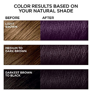 Instant Long-Lasting Purple Color Shampoo for Women and Men - Herbal 3-in-1 Hair Dye, 16.90 Fl Oz (Purple)