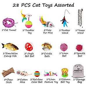 MIBOTE 28Pcs Cat Toys Kitten Toys Assorted, Cat Tunnel Catnip Fish Feather Teaser Wand Fish Fluffy Mouse Mice Balls and Bells Toys for Cat Puppy Kitty