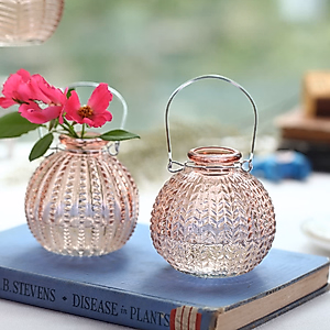 ELEGANTTIME Single Glass Bud Vase Pink Glass Vases for Centerpieces Decor Glass Flower Vase Bottle with Crok Wire Iron Handle Design for Cafes, Office Table, Home and Garden