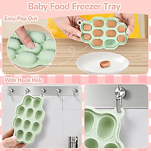 WEST STORY Baby Feeding & Teething Kit, Includes Breastmilk Popsicle Molds, 2 Baby Fruit Food Feeders Pacifiers, 3 Extra Food Pouches, Silicone Teething Toys & Storage Bag for Infant Newborn, BPA Free