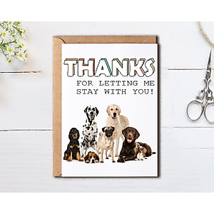 Thanks For Letting Me Stay With You - Dog Sitter Gift - Card From Dog - Dog Thank You Card - Gift For Pet Sitter - Dog Lover Gift Card, 5 x 7 inches