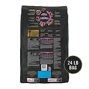 Purina Pro Plan Sensitive Skin and Stomach Puppy Food Lamb and Oat Meal Formula - 24 lb. Bag