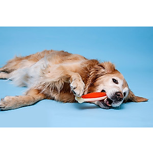Hartz Chew 'n Clean Tuff Bone Tough Dog Chew Toy, Large 3 Pack