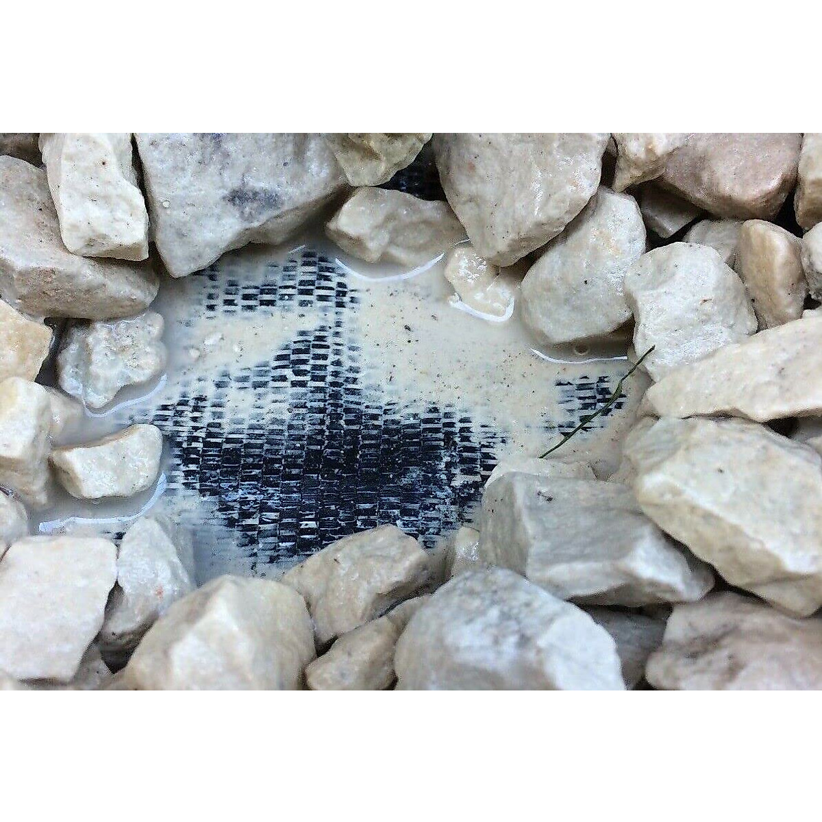 Groweco Landscape Fabric 6ft X 50ft Weed Barrier Landscape Fabric Heavy Duty Premium 3.2oz Garden Fabric Weed Barrier Weed Block Gardening Mat,Woven Geotextile Fabric Ground Cover Weed Barrier