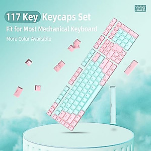 117 Key Custom PBT Keycap Set Double Shot OEM Profile for 61/68/87/98/100/104Key Compact 60% and Full Size GMMK Cherry MX Gateron Kailh Cross Type Switch US Layout Mechanical Keyboard DIY(Pink Blue)