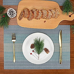 Winknowl Placemats, Set of 8 Heat Resistant Stain Resistant Woven Vinyl Insulation Placemats, Durable Washable Elegant Table Mats for Dining (Blue)