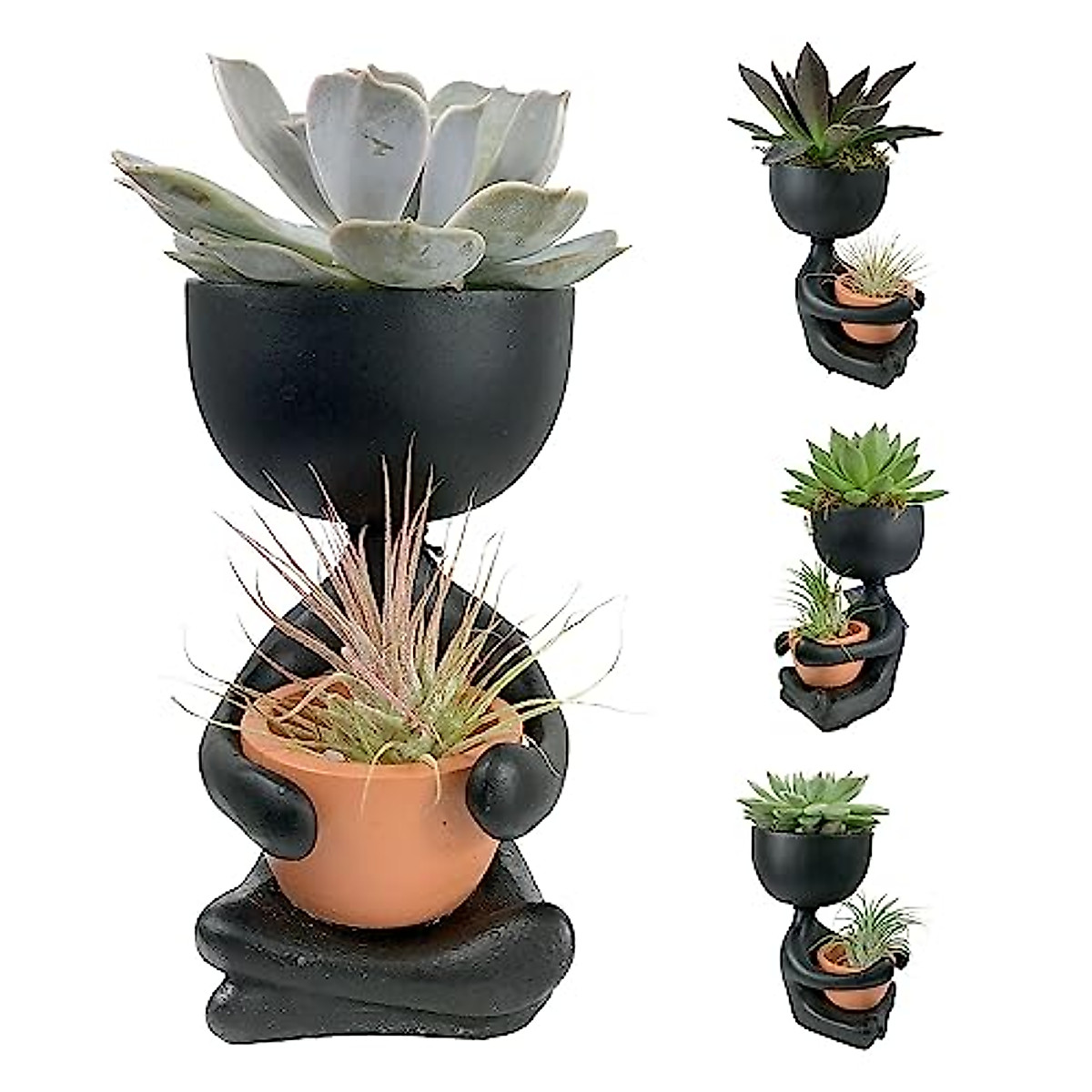 Zen Harmony Planter - Live Plants in a Decorative Pot - Cactus | Succulent | Air Plant - A Symbol of Serenity and Natural Beauty