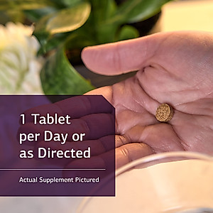 Standard Process Inc. Iodomere - Whole Food Metabolism and Thyroid Support with Echinacea Purpurea, Green Lipped Mussel, Organic Carrot, Organic Sweet Potato, and Iodine - 90 Tablets