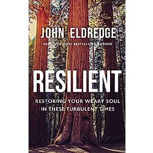 Resilient: Restoring Your Weary Soul in These Turbulent Times