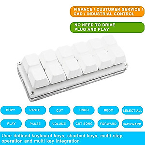 TJHL USB Mini 12-Key Keypad Mechanical Gaming Keyboard Programmable Keys Mini Gaming Keyboard USB Custimize DIY Keypad One for Game Media Player