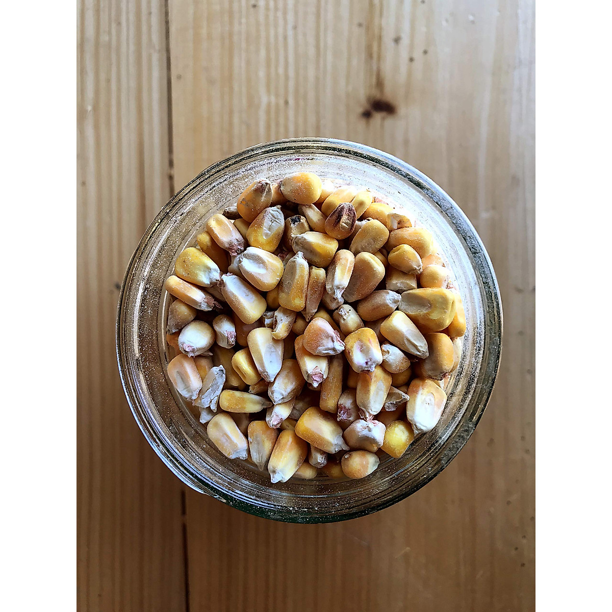 Homestead Harvest Ernst Grain Whole Corn – Perfect Feed for Deer, Squirrels, Chickens, Ducks, Rabbits, Geese, and More! (50 lb)