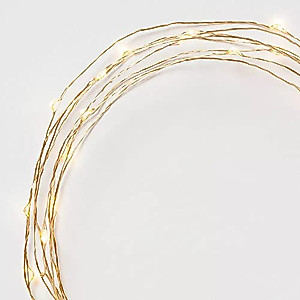 Room Essentials 90ct Extended LED Fairy Lights, 30 ft Gold Color Starry String with Copper Wire, USB or Battery Powered (1)