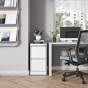 BIZOEIRON 2 Drawer File Cabinet with Lock, Metal Vertical Filing Cabinets for Home Office, Steel Storage Cabinet for Hanging Legal/Letter Size Files, Assembly Required (White)