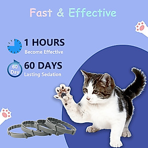 Didakay 4 Pack Calming Collar for Cats, Cat Calming Pheromones Indoor and Outdoor Activities, Natural Scent Adjustable Fit Kittens to Large Cats Relieve Stress Calming Products