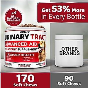 Dog UTI Treatment - 170 Treats - Cranberry Supplement for Dogs - Bladder Control for Dogs - Dog Urinary Tract Infection Treatment - UTI Medicine for Dogs Multivitamin - Dog Vitamins and Supplements