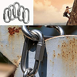 JCPLYNN 304 Stainless Steel D Shape Locking Carabiner Quick Link Chain Connector Keychain Buckle (M3.5 1/8" 18Pack)