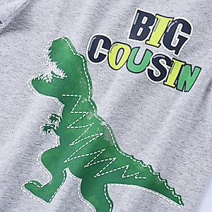 WAWSAM Dinosaur Big Cousin T-Shirt Birthday Boy Shirt for Toddler Boys of The Matching Family Short Sleeve Grey, 4-5T