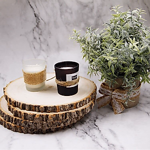 Prsildan 4 Pcs Large Natural Wood Slices, 7-8.5 Inches Unfinished Wood Centerpieces for Tables, DIY Round Wooden Circle Sign Crafts for Wedding Party Décor