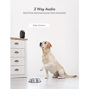 nooie Pet Camera 2K, 360°Pan/Tilt Wi-Fi Baby Monitor with Phone App, Indoor Security Camera, AI Motion Tracking, Night Vision, Two-Way Audio, Compatible with Alexa/Google Home